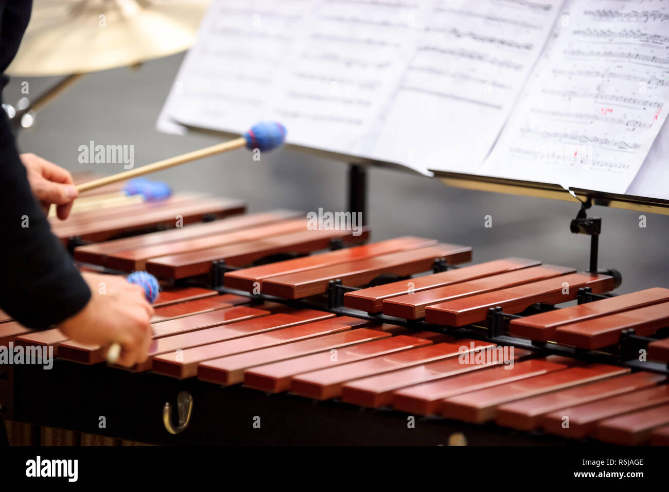 Musician in action with percussion instrument during a concert or ...
