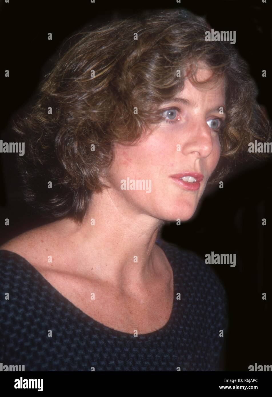 Caroline Kennedy 1992 Photo By John Barrett/PHOTOlink/MediaPunch Stock ...