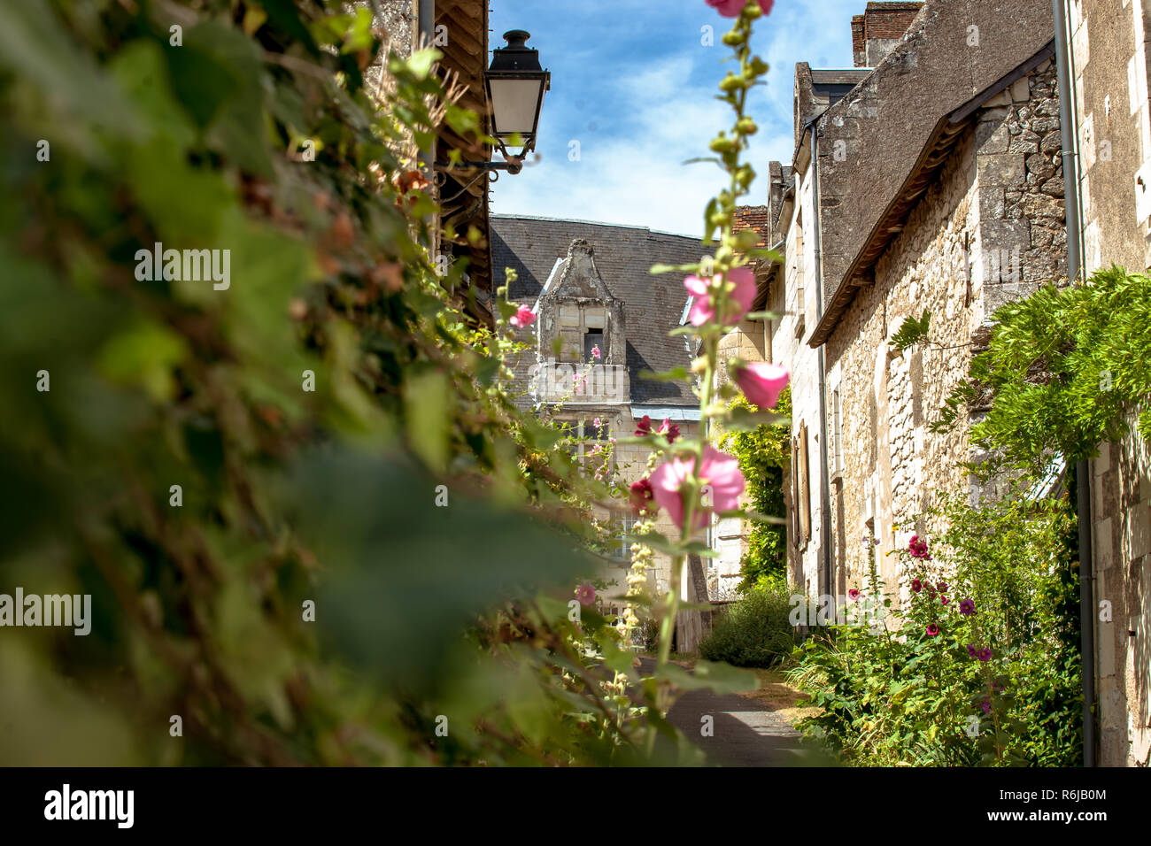 Scene in Crissay-sur-Manse, typical French village with charming and ...