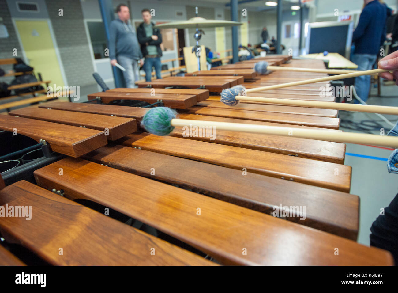 Musician in action with percussion instrument during a concert or ...