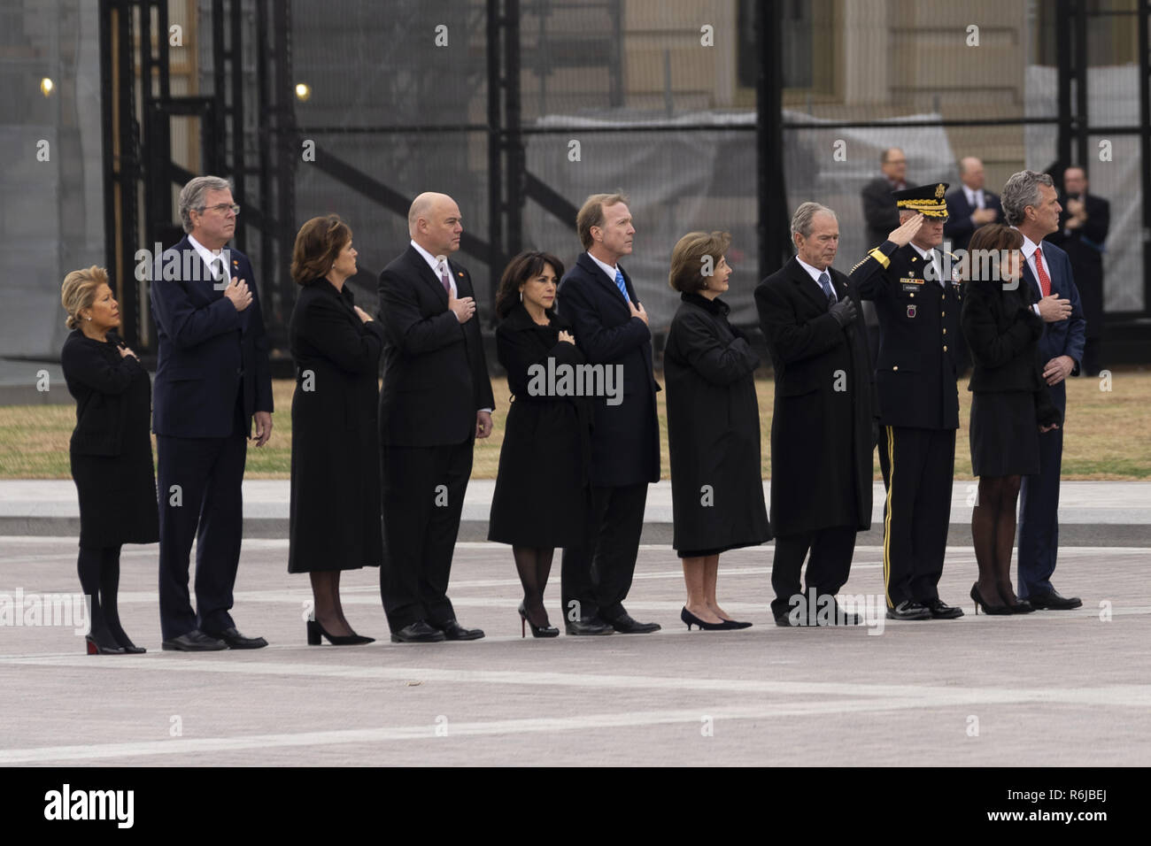 Dorothy bush koch hi-res stock photography and images - Alamy