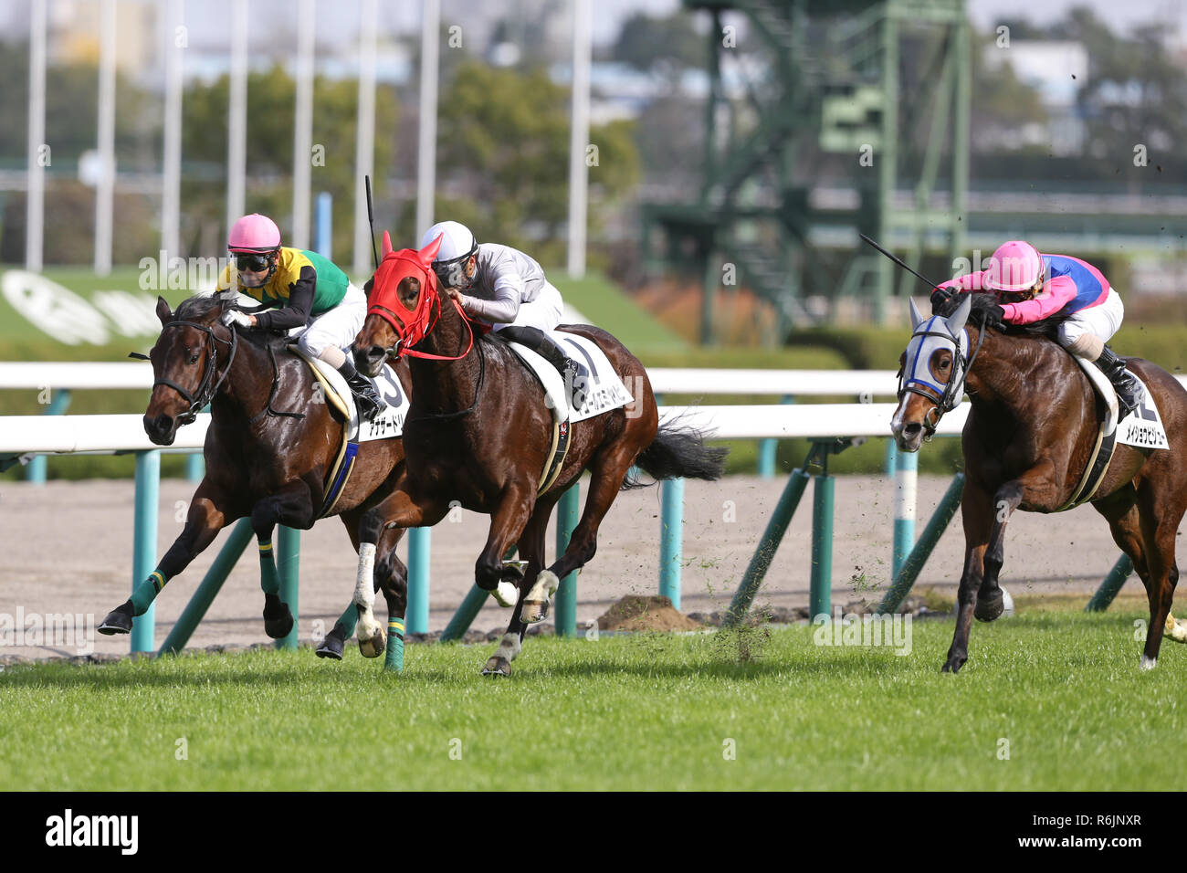 Hyogo, Japan. 1st Dec, 2018. (L-R) Another Dream (Yuichi Kitamura ...