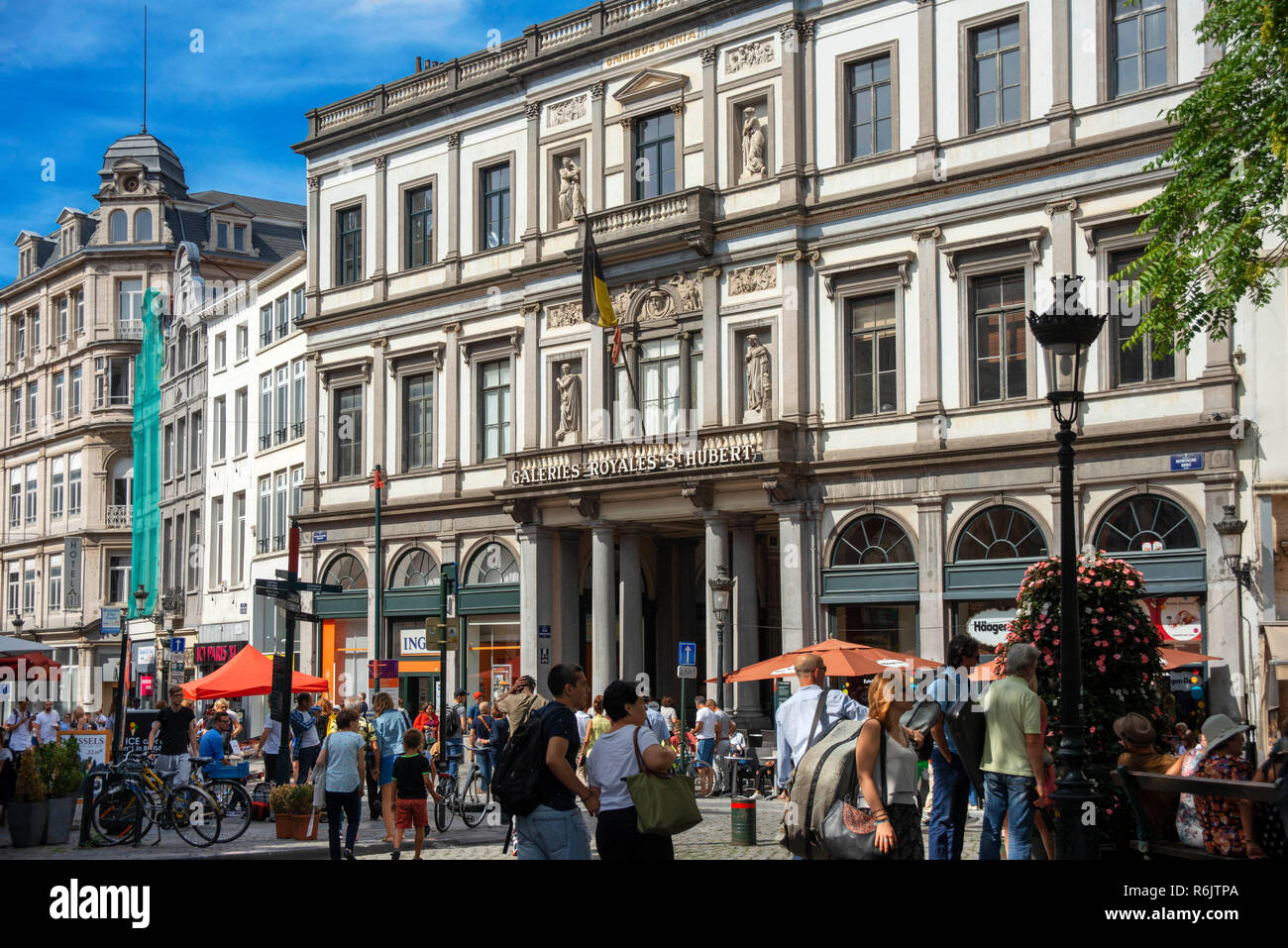 St hubert hi-res stock photography and images - Alamy