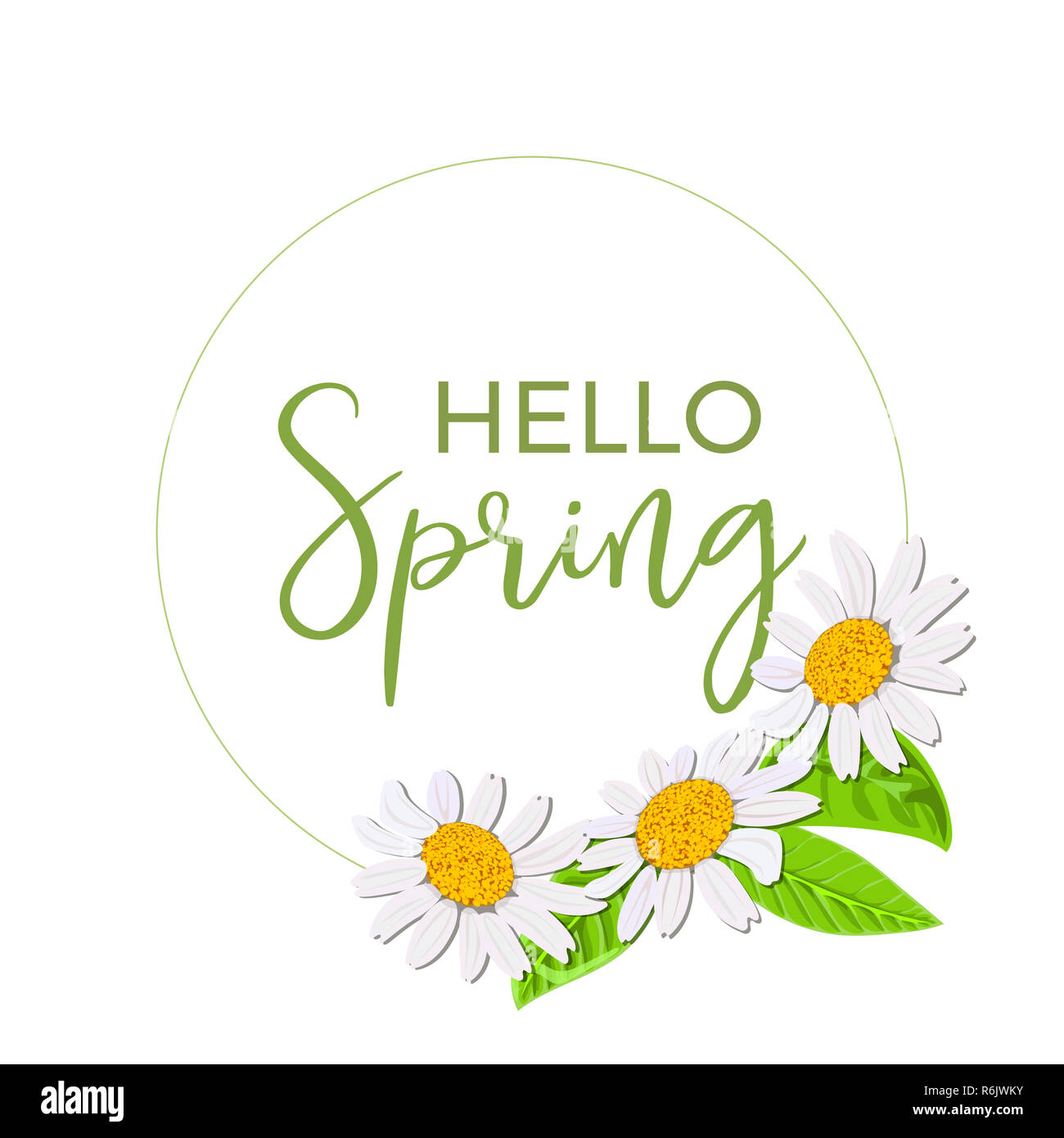Hello spring. Beautiful Daisy wreath isolated. Elegant floral chamomile ...