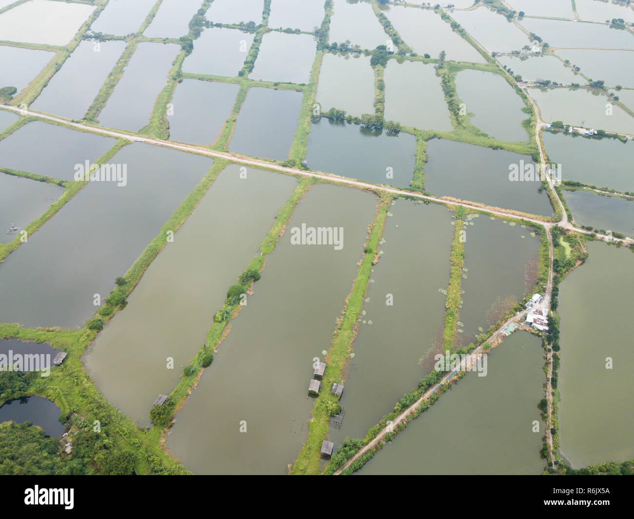 Aerial view Fish hatchery pond Stock Photo - Alamy