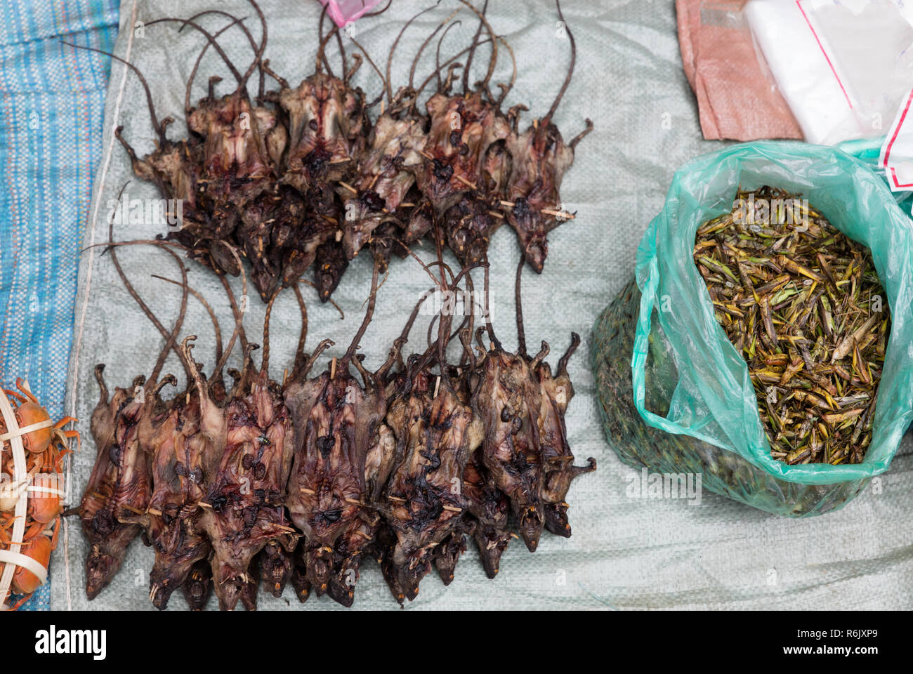 Roasted rats on Market, Luang Prabang, Laos Stock Photo - Alamy