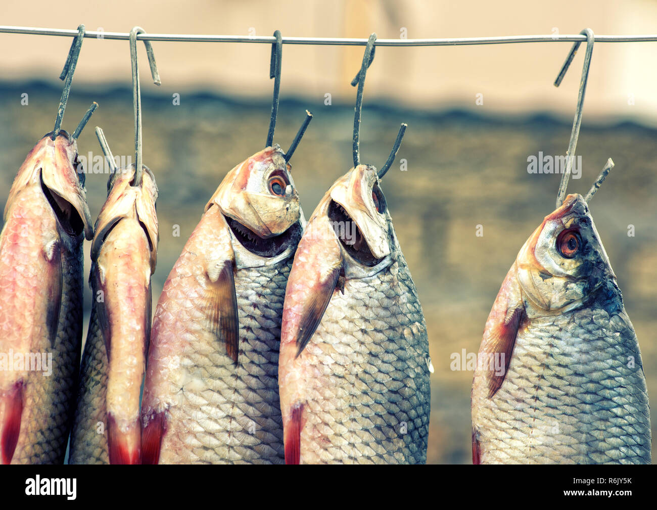 Fish wire hi-res stock photography and images - Alamy