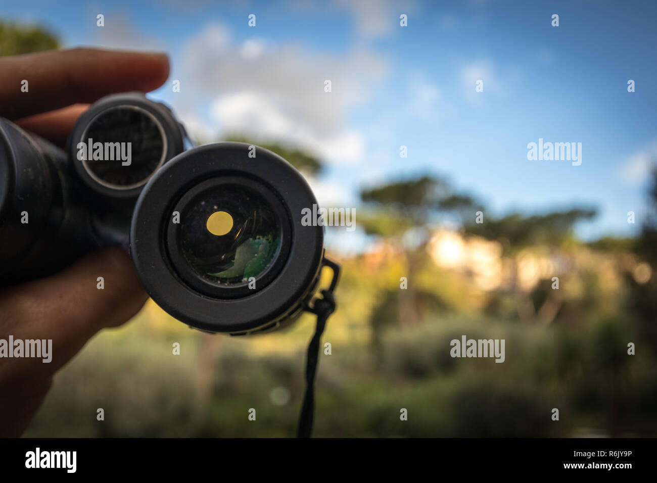 Green Binoculars in Hand with Landscape Stock Photo - Alamy