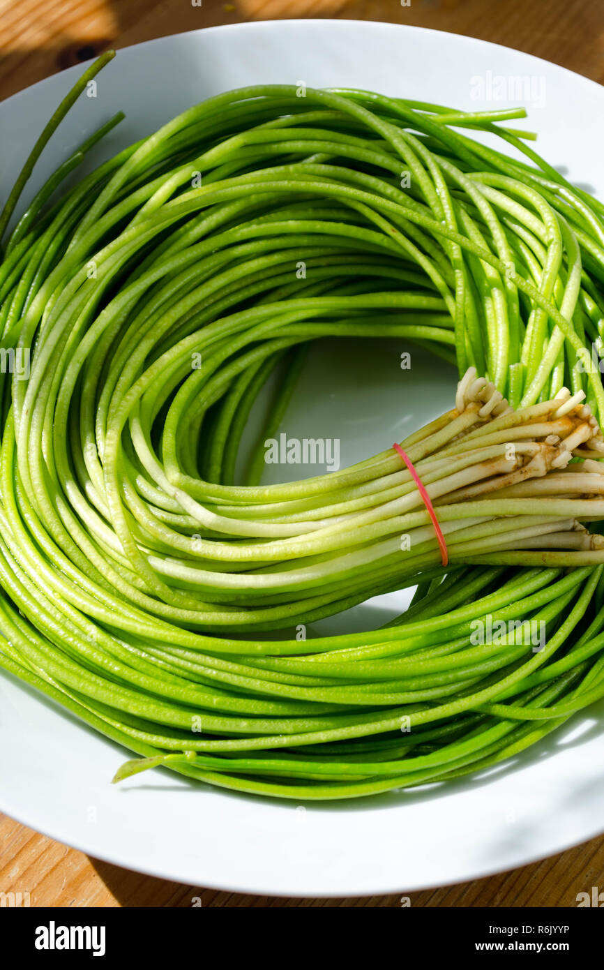 White water snowflake - an aquatic plant commonly grown for ornamental ...