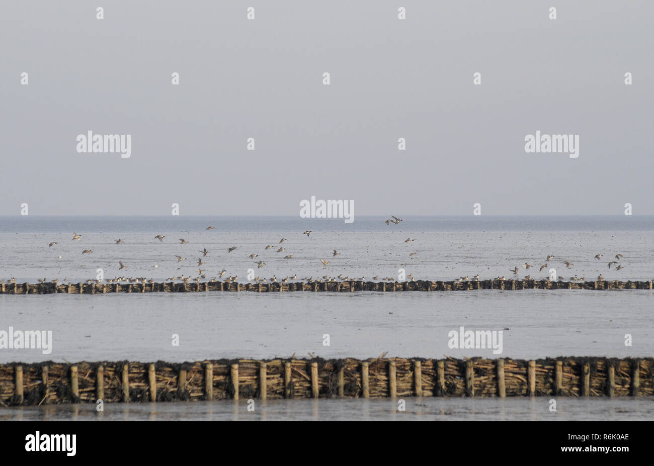 Fascines hi-res stock photography and images - Alamy