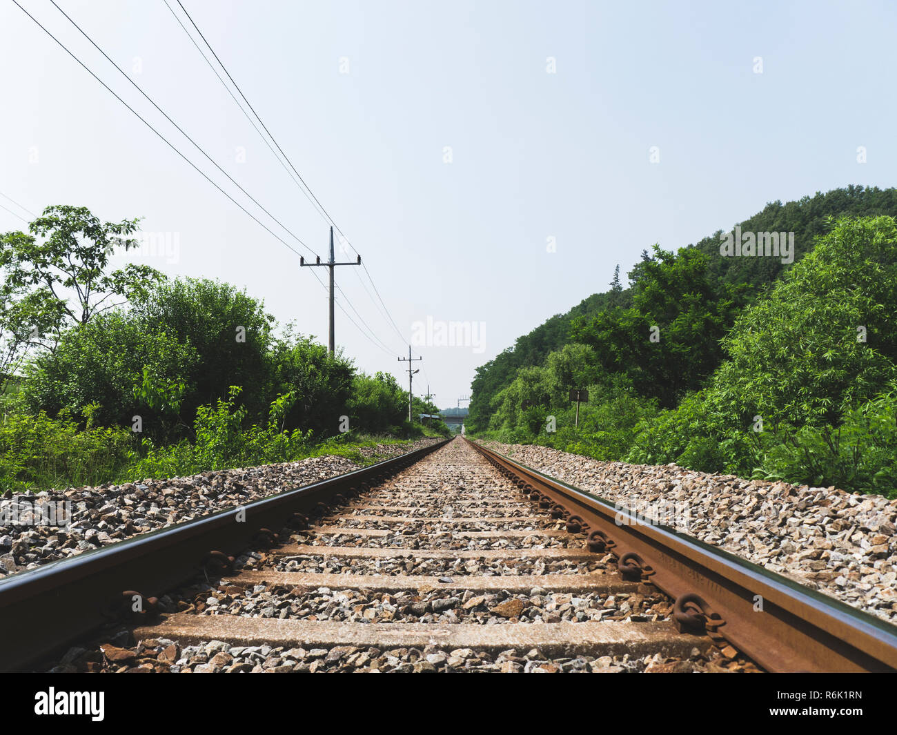 Railway tracks in the forest. South Korea Stock Photo - Alamy
