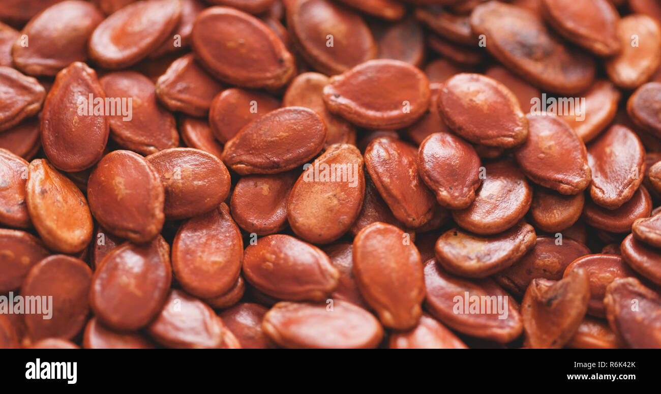 Red watermelon seed Stock Photo - Alamy