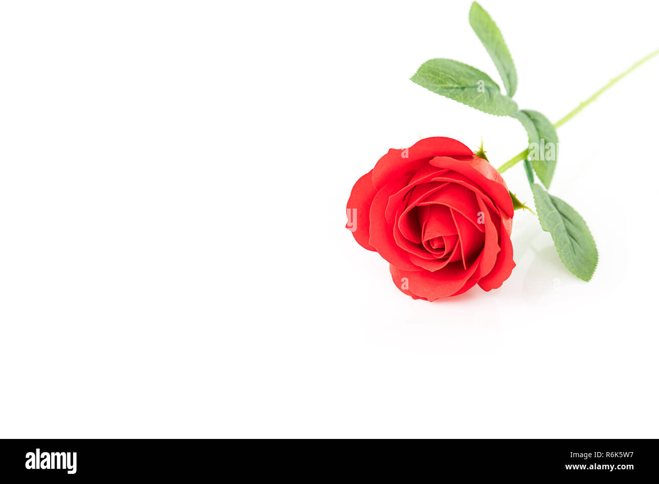 Plastic flower roses Cut Out Stock Images & Pictures - Alamy