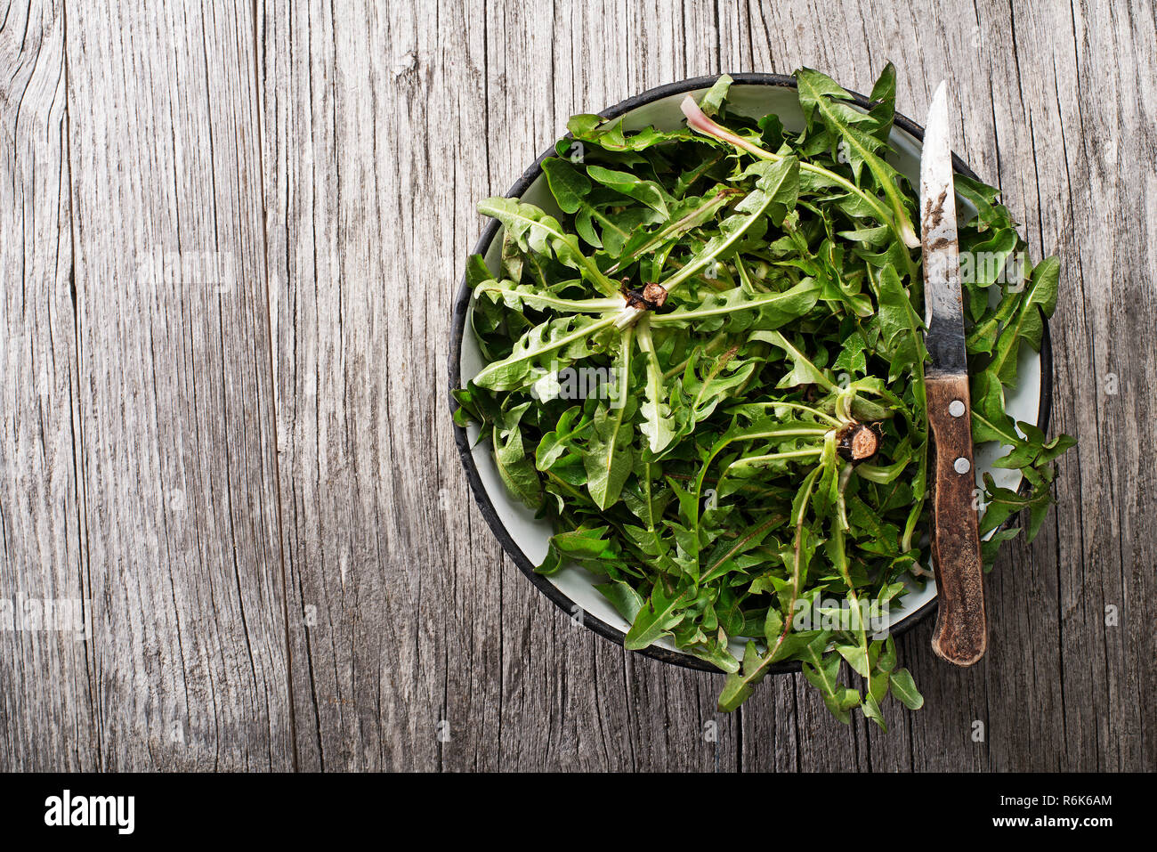 Dandelion root leaves flower hi-res stock photography and images - Alamy