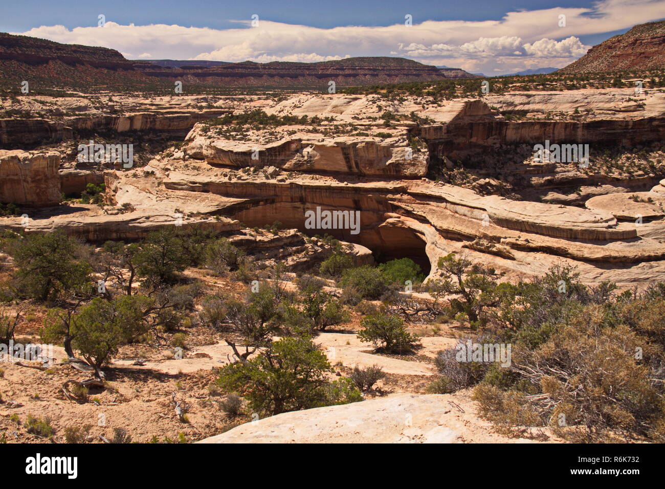 Natural Bridges National Monument in Utah in the USA Stock Photo - Alamy