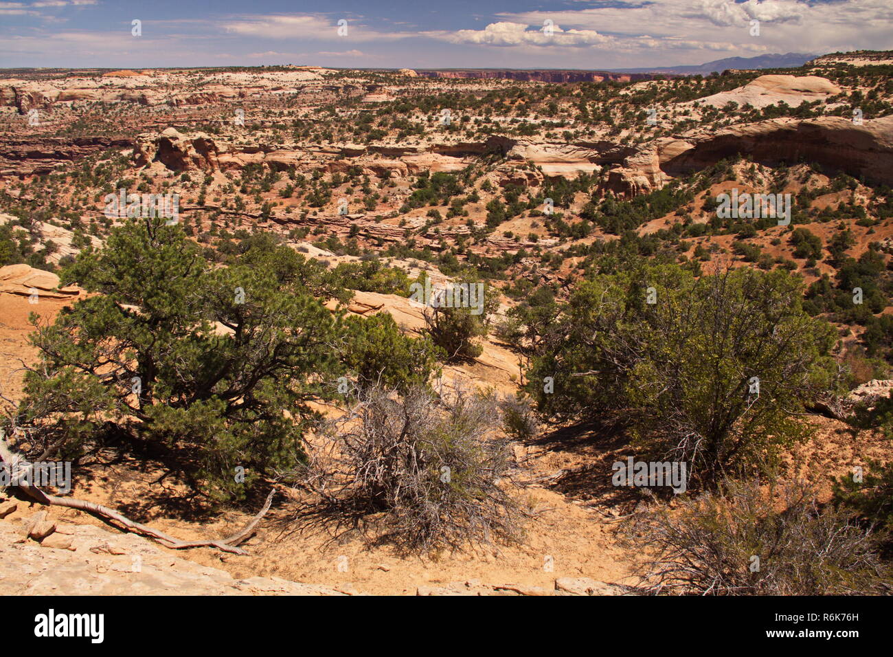 Landscape on Neck Spring Trail in Canyonlands NP in Utah in the USA ...