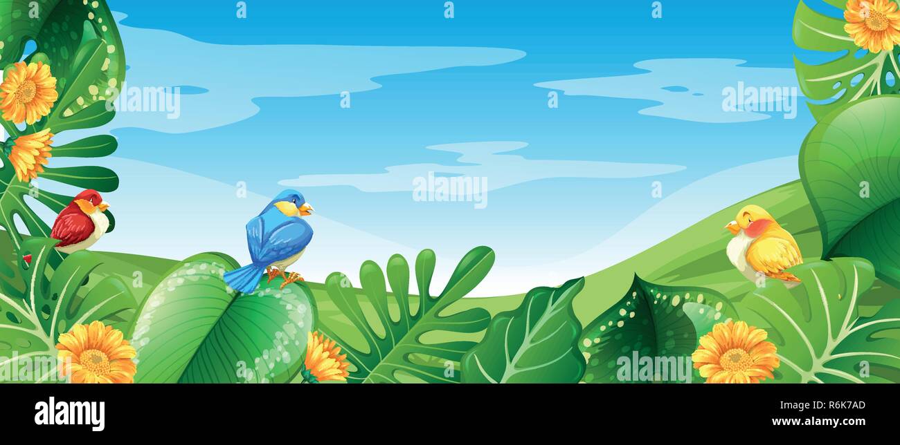 Birds in nature landscape illustration Stock Vector Image & Art - Alamy