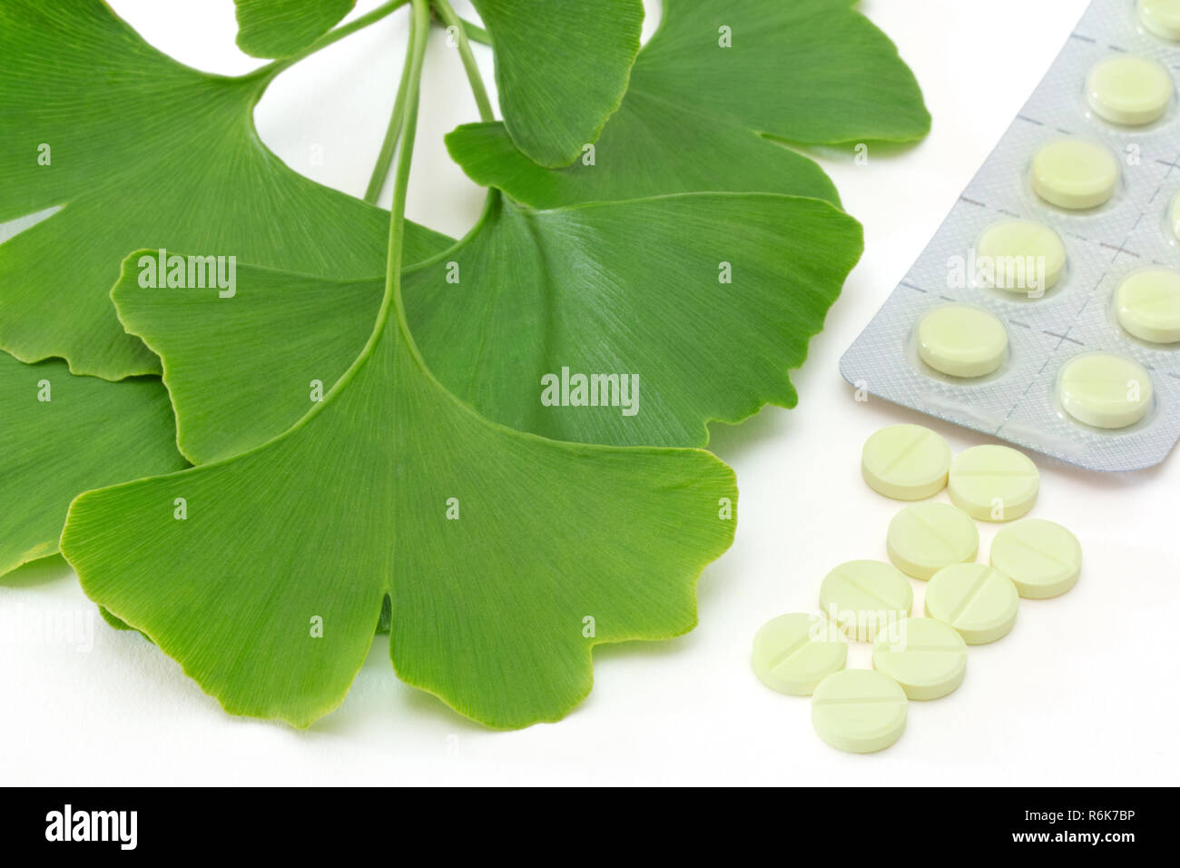 Ginkgo flow hi-res stock photography and images - Alamy