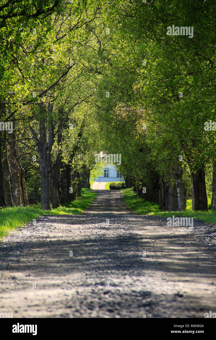 Scenic dirt road lined lush hi-res stock photography and images - Alamy