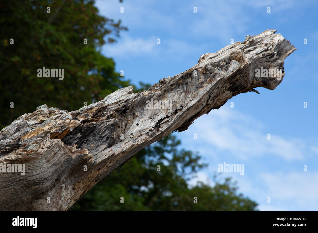 Bembridge beach Stock Photo - Alamy