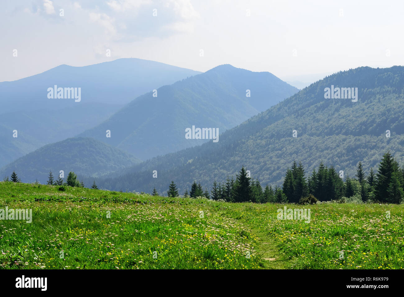 The meadows in The Vratna valley at the national park Mala Fatra ...