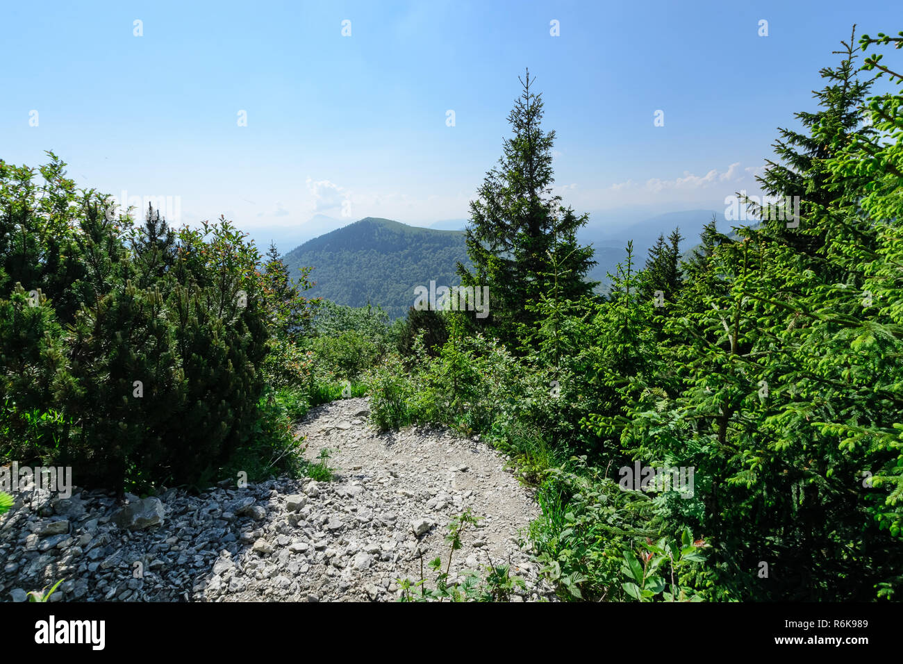 The path in Vratna valley at the national park Mala Fatra, Slovakia ...