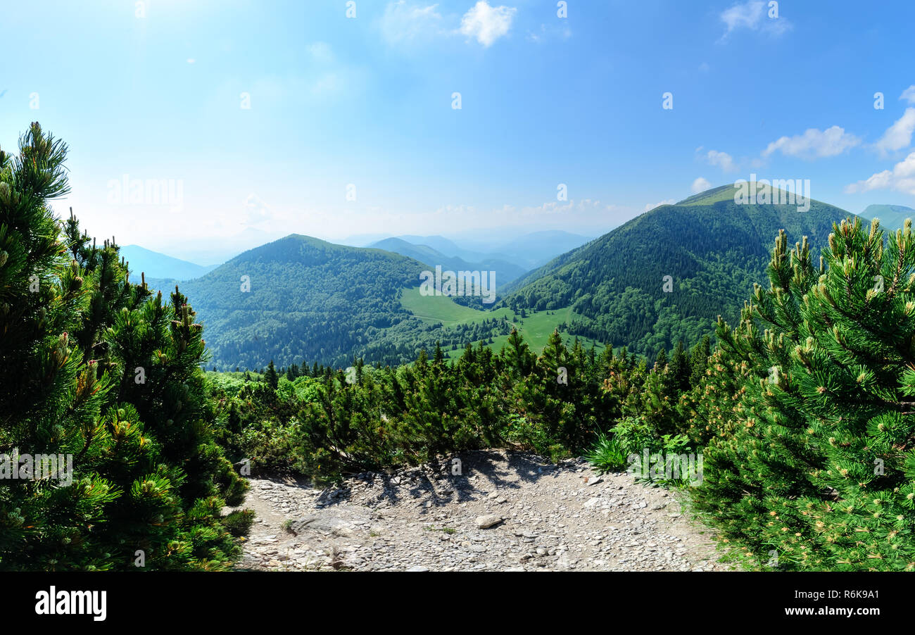 Wide view in The Vratna valley at the national park Mala Fatra ...