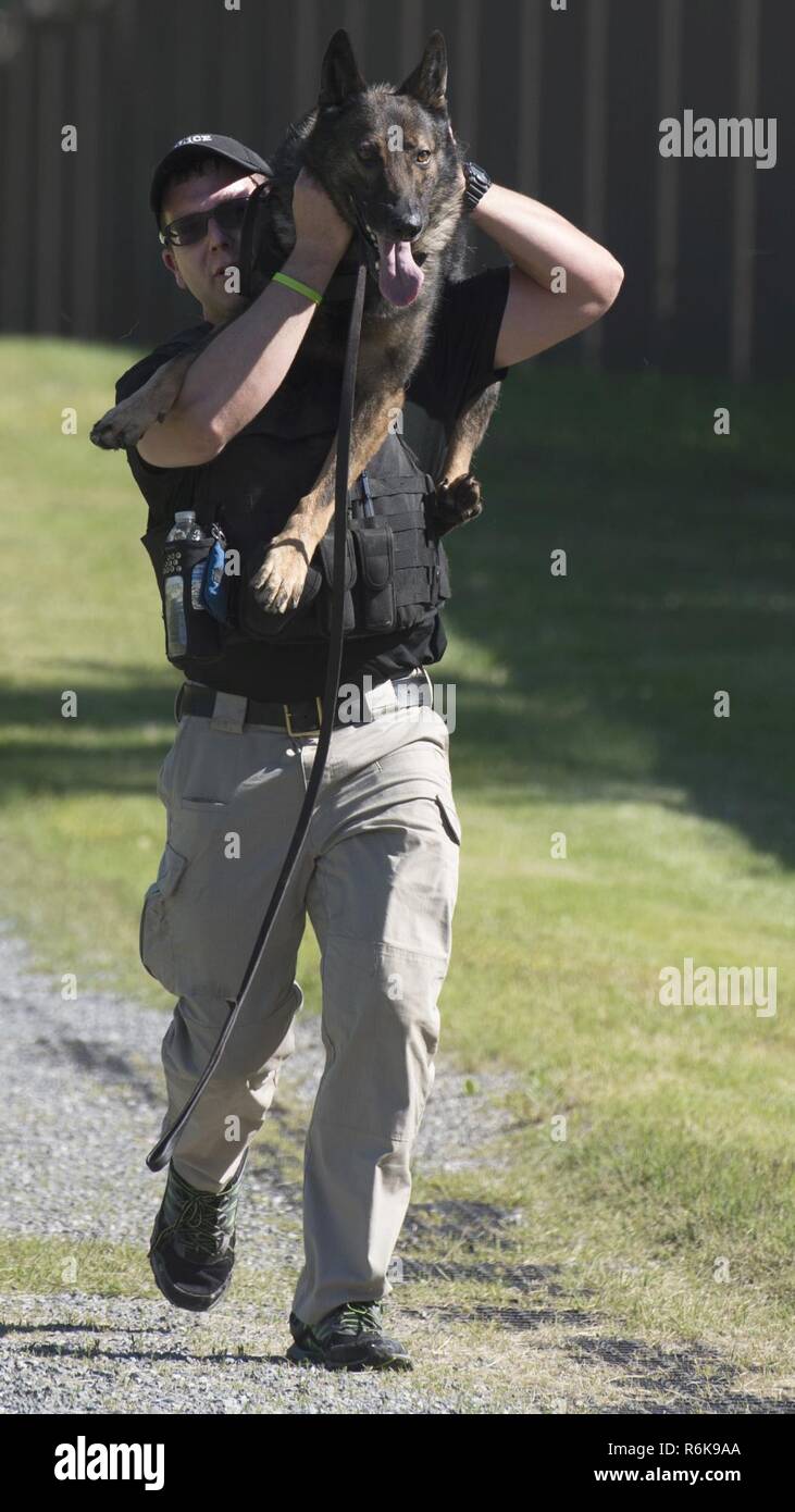 Defense Intelligence Agency Police