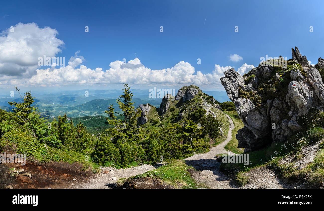 The trail in the Great Rozsutec hill in The Vratna valley at the ...
