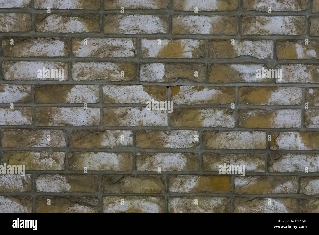 macro closeup of a yellow stone brick wall with white blotches, a ...