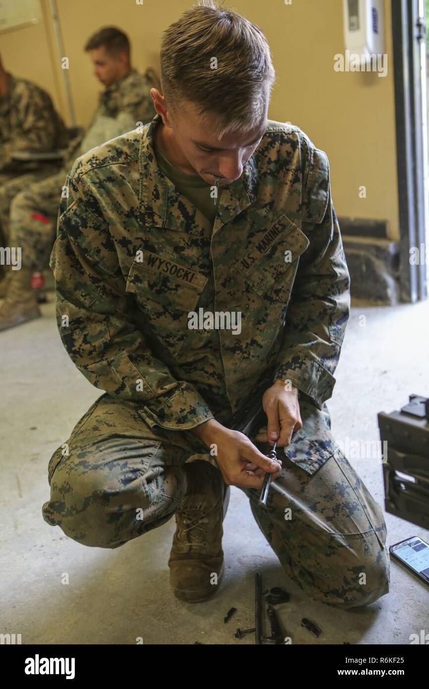 U.S. Marine Corps Lance Cpl. Alexander M. Wysocki, Motor Vehicle ...