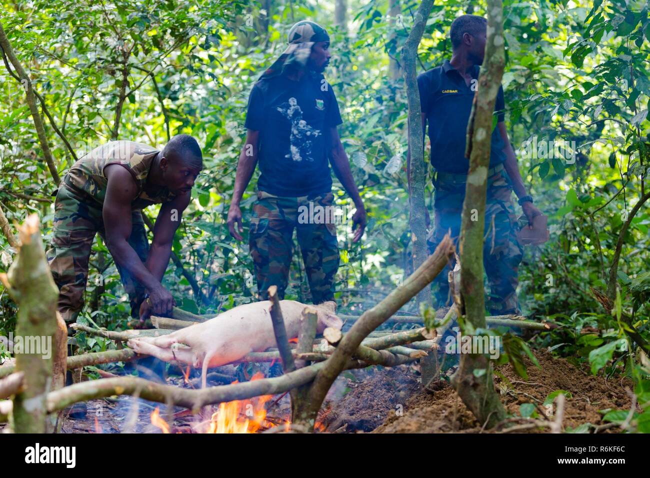 Ghana Armed Forces demostrate how to cook a pig over a fire during ...