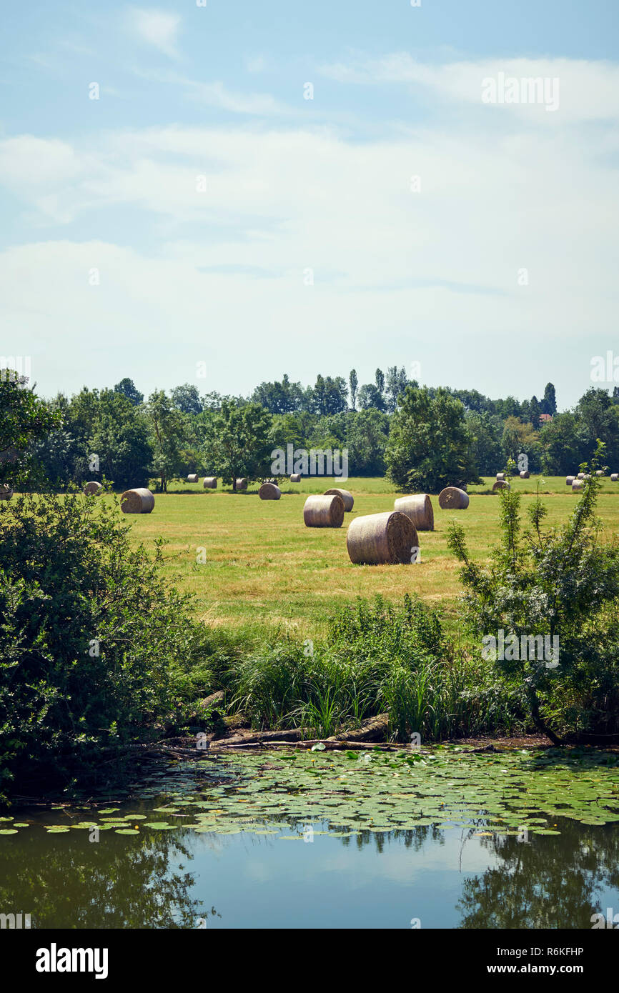channel meadow straw bales Stock Photo - Alamy