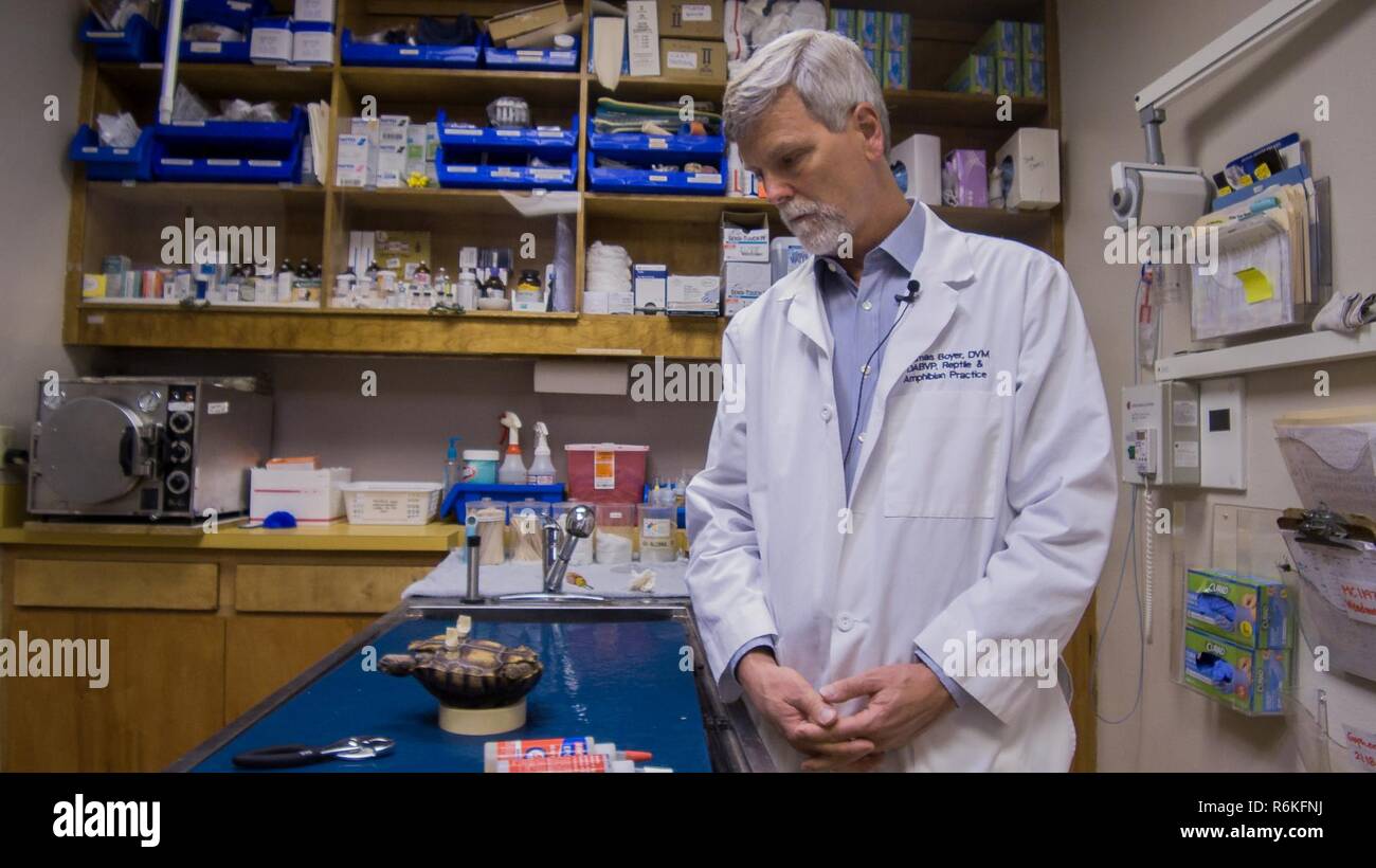 Dr. Tom Boyer, veterinarian and reptile specialists, Pet Hospital of ...