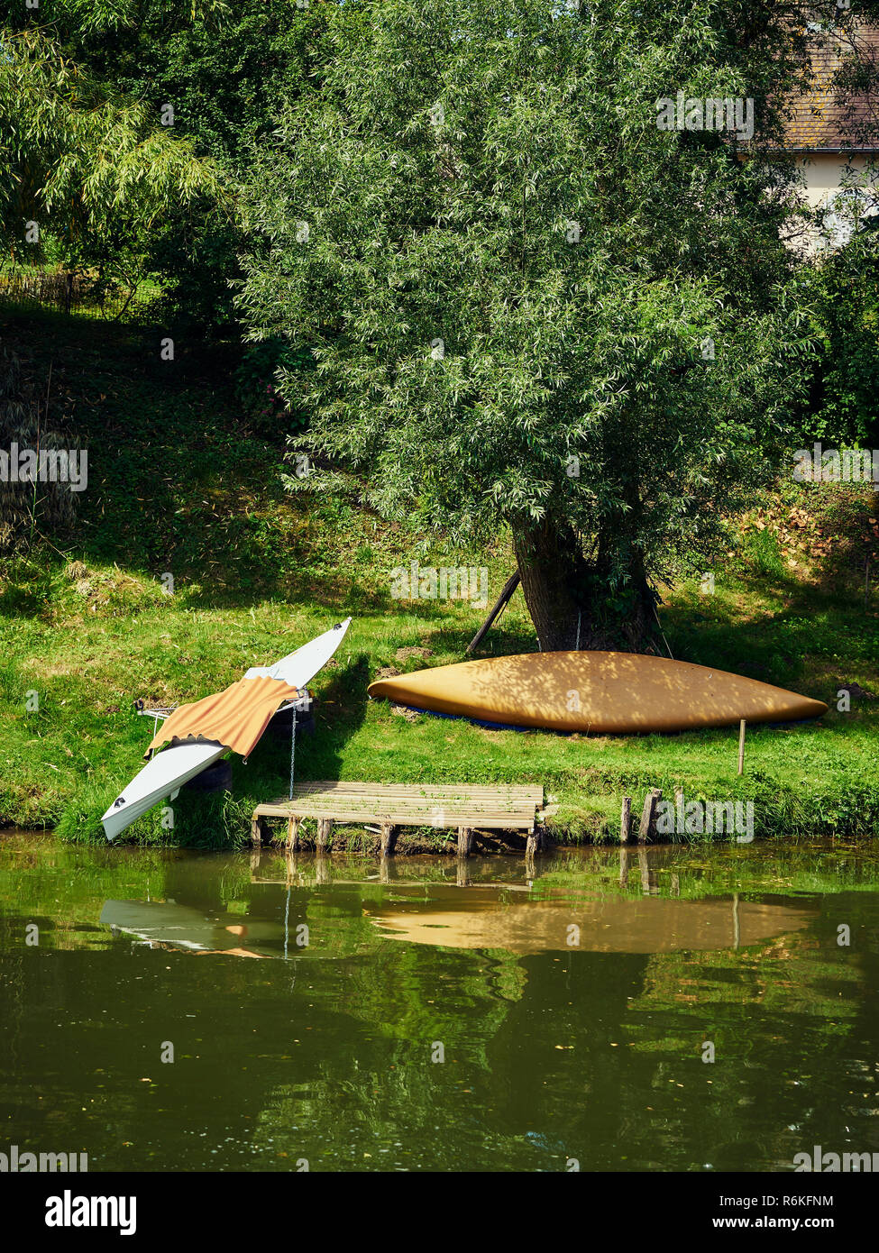 kayak channel shore tree Stock Photo - Alamy
