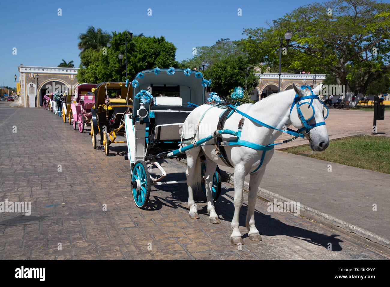 Tourists and city tour carts hi-res stock photography and images - Alamy