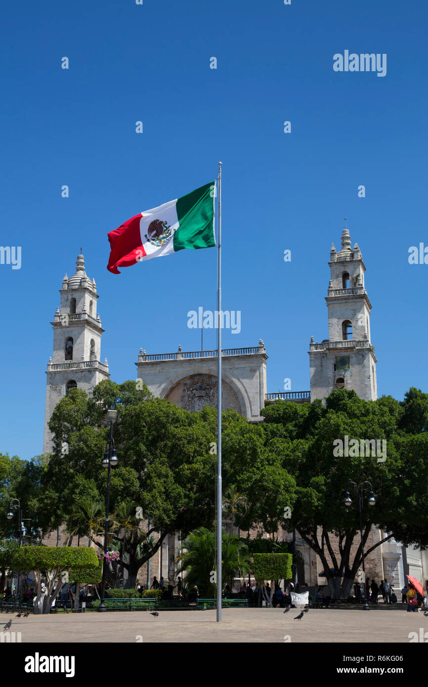 Mexican Flag, Cathedral Of San Ildefonso (background), Plaza, Merida ...
