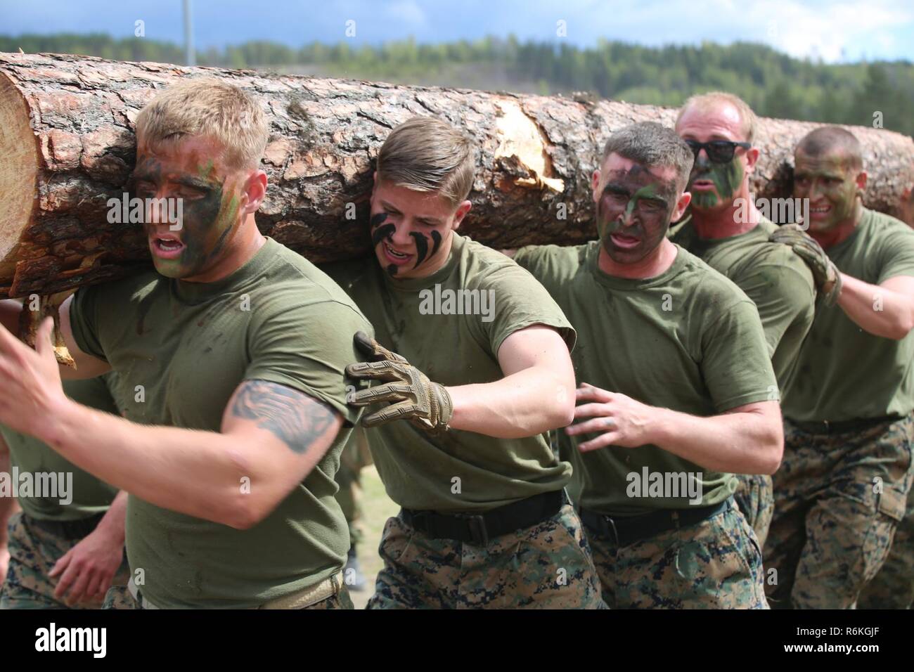 U.S. Marines from Marine Rotational Force Europe 17.1 participated in ...