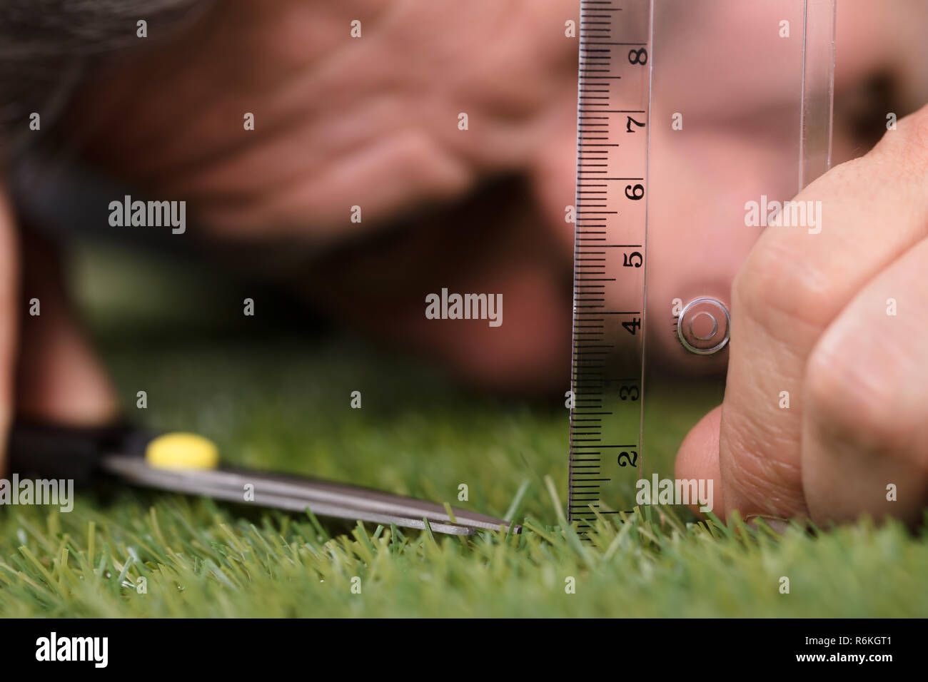 Man Using Measuring Scale While Cutting Grass Stock Photo - Alamy