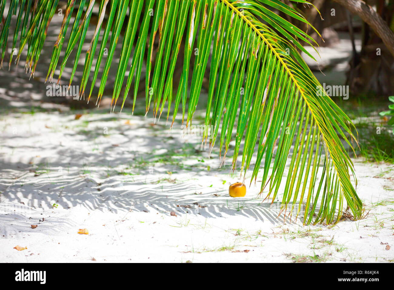 Rest in Paradise Stock Photo - Alamy