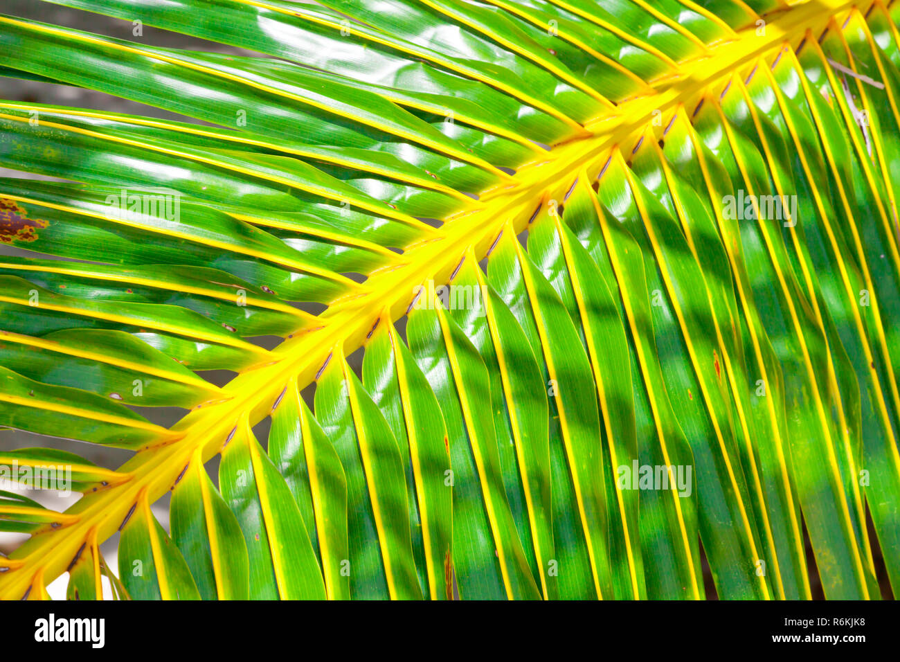 Rest in Paradise Stock Photo - Alamy