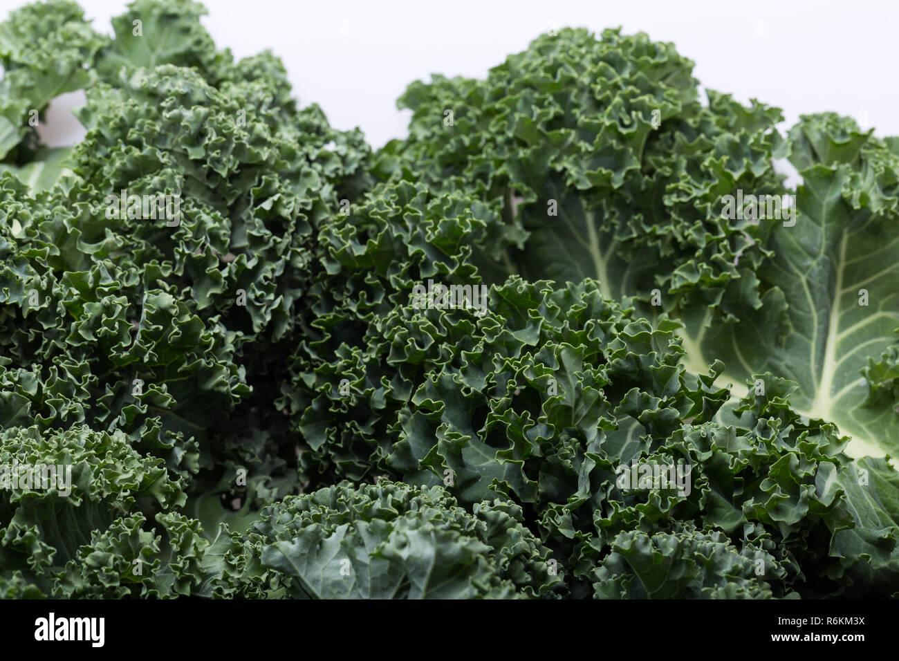 A healthy fresh curly kale Stock Photo - Alamy