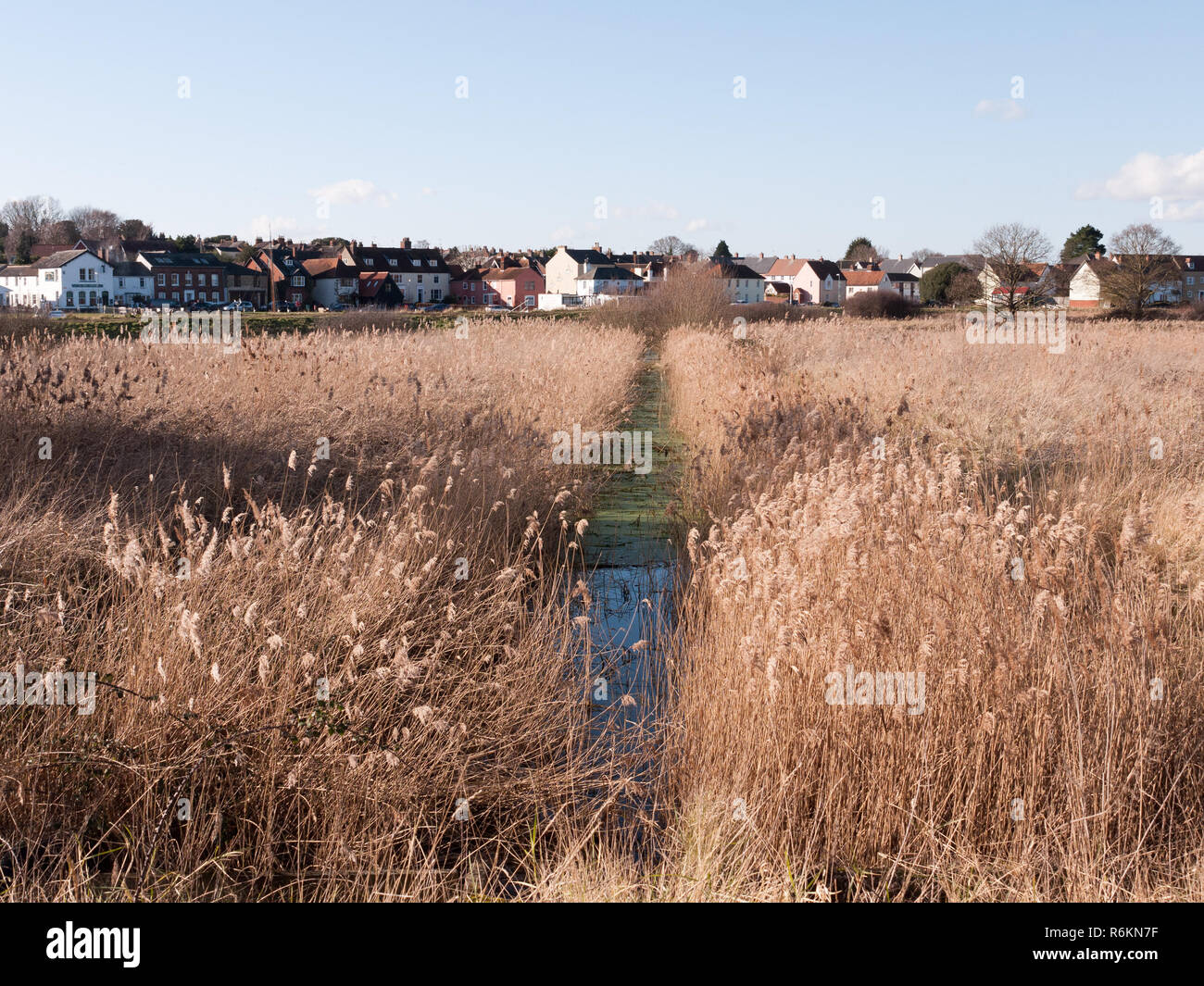 row stream through reeds grass spring summer leading to row of houses ...