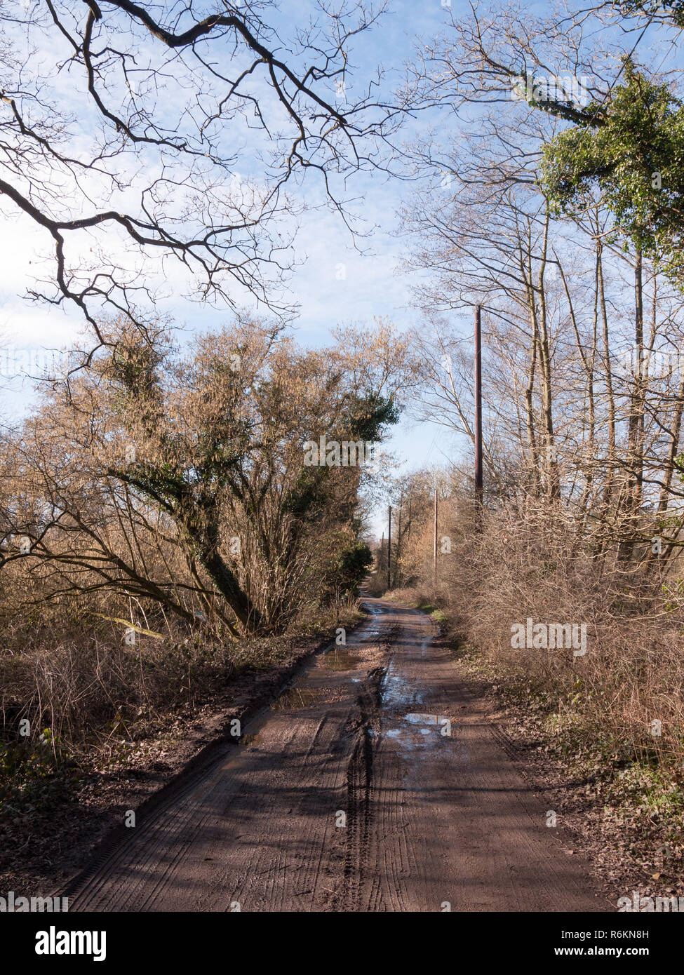 muddy path through countryside spring farm land tracks trees Stock ...