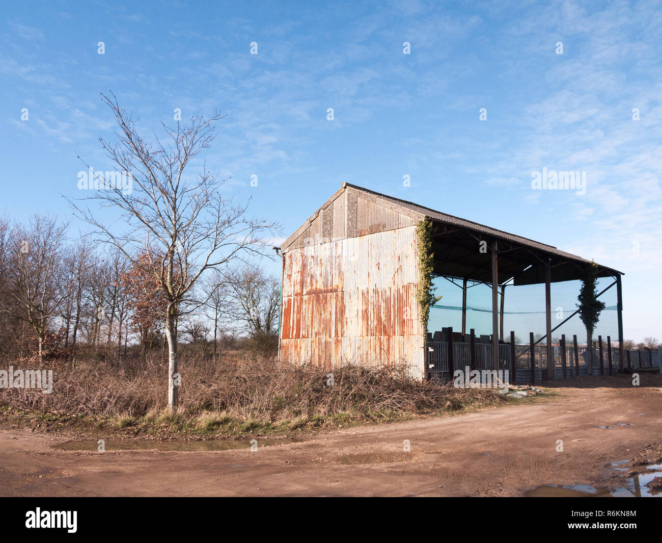 old farm land cow shed blue sky agriculture pen Stock Photo - Alamy