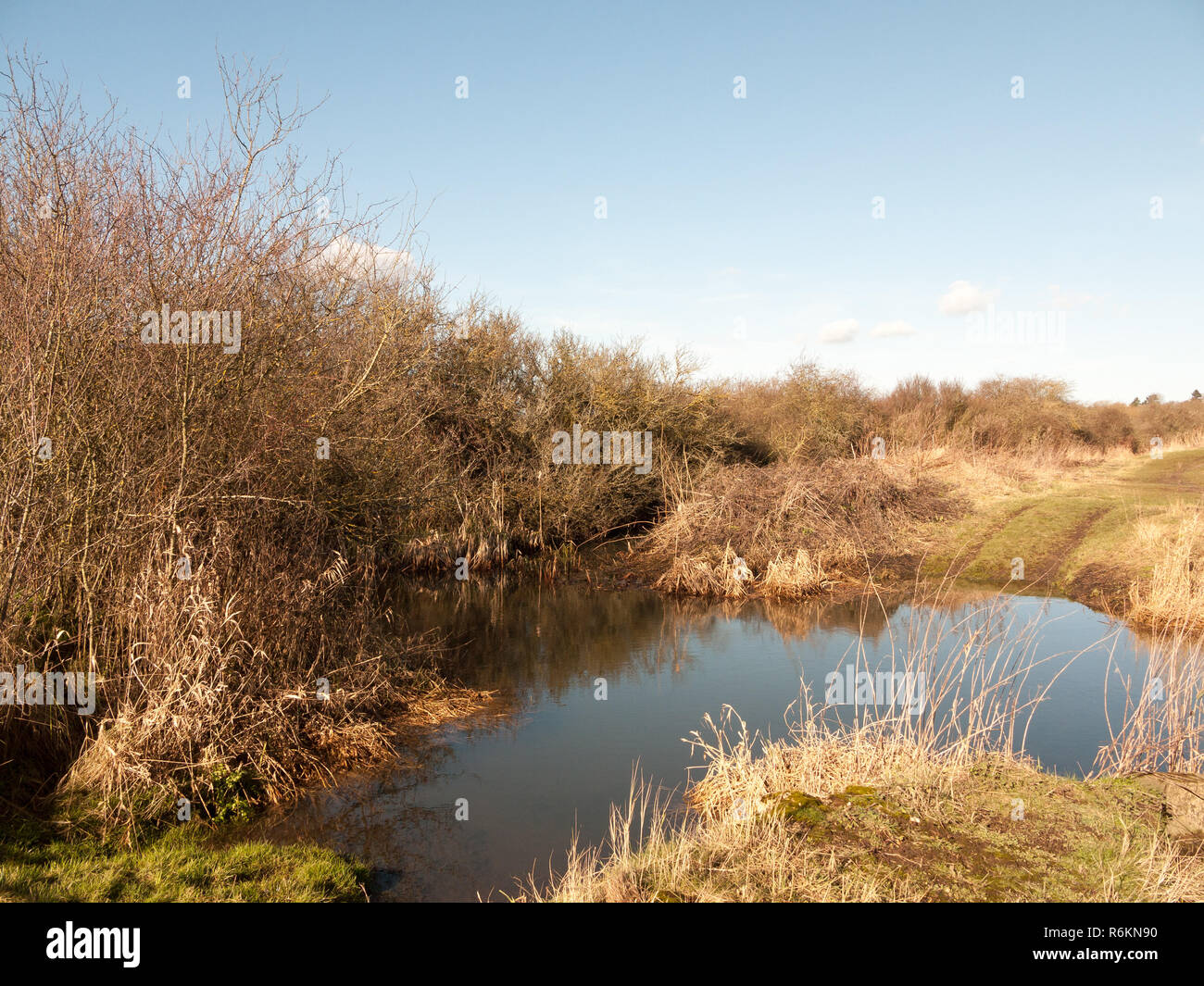 open small lagoon pool of water in countryside spring nature landscape ...