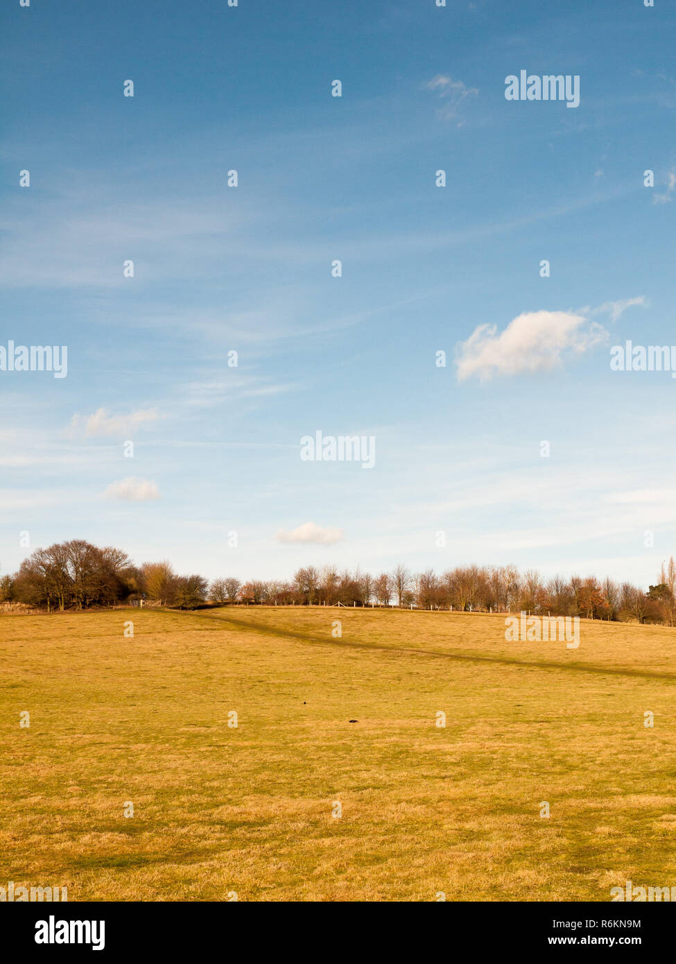 massive open plain farm field grass agriculture england blue sky ahead ...