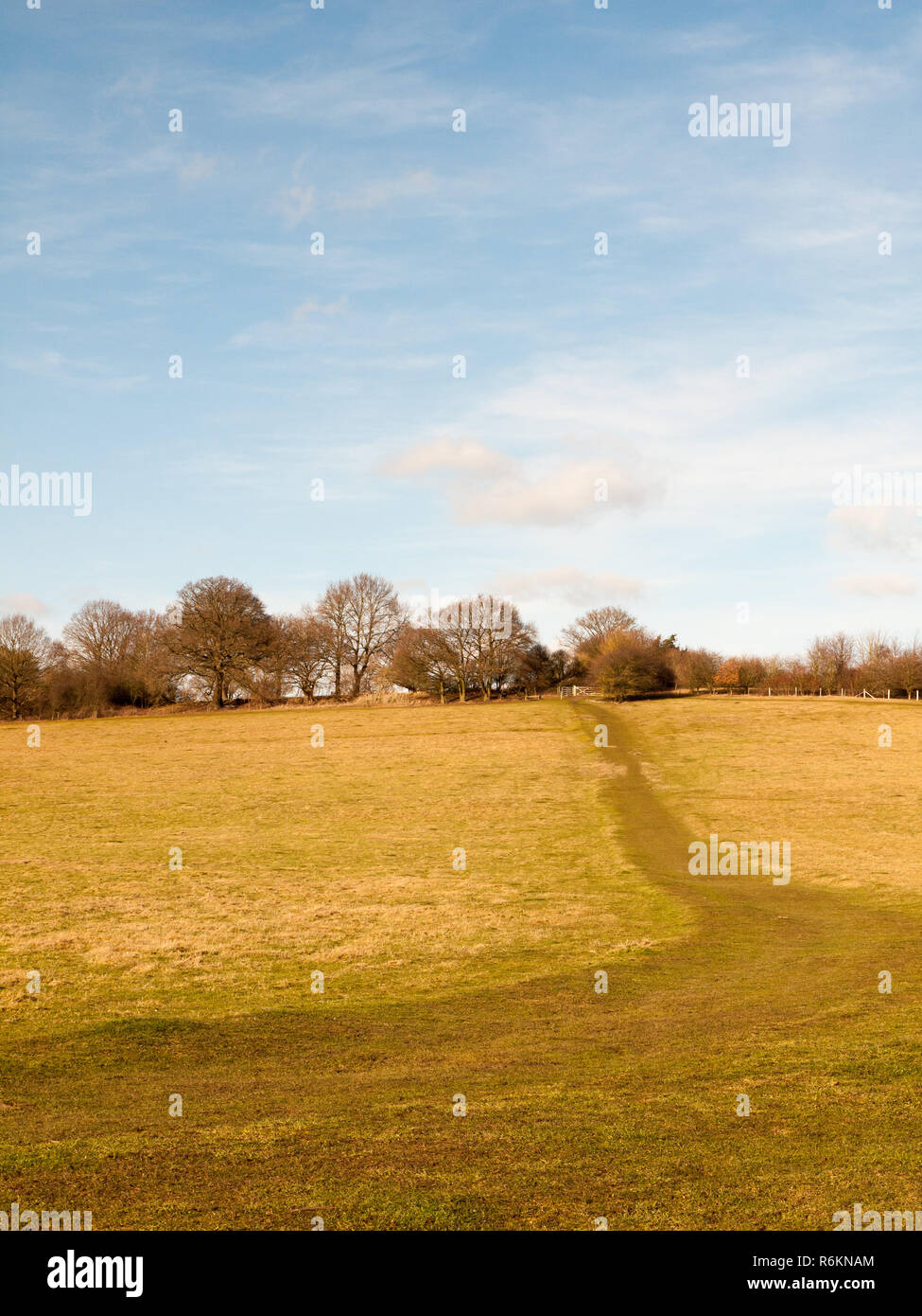 massive open plain farm field grass agriculture england blue sky ahead ...