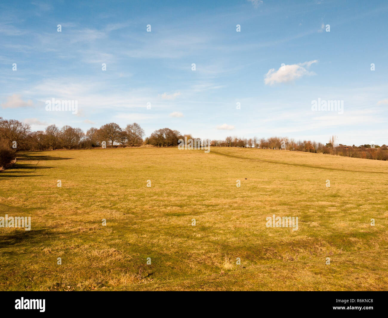 massive open plain farm field grass agriculture england blue sky ahead ...