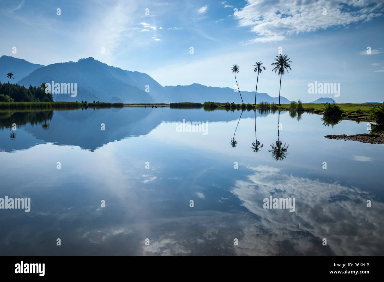 Indonesian nature hi-res stock photography and images - Alamy